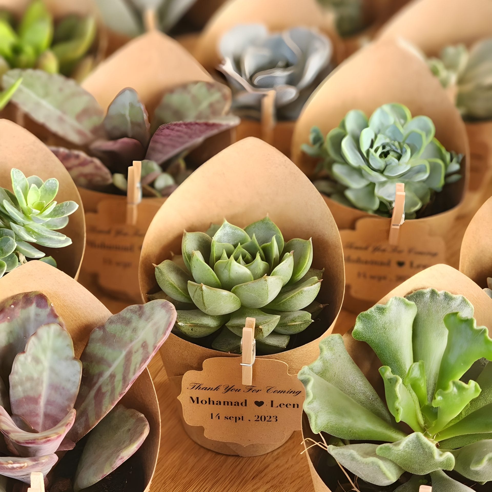 Plant Themed Wedding Favors to Wow Your Wedding Guests